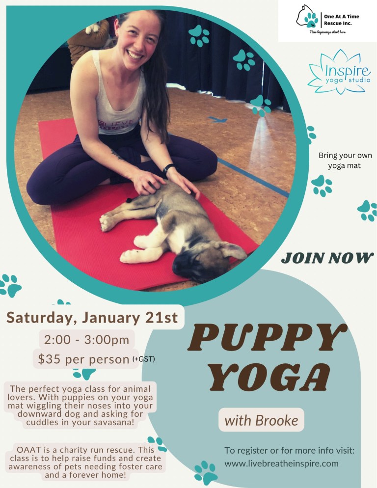 INSPIRE YOGA STUDIO – Inspire Yoga Studio