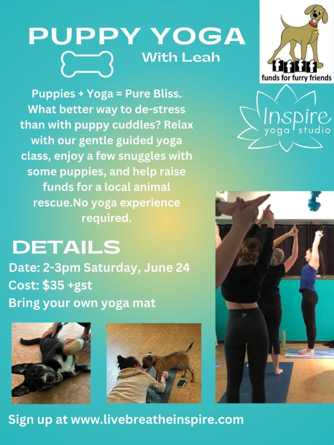 INSPIRE YOGA STUDIO – Inspire Yoga Studio